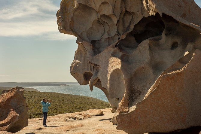 Kangaroo Island in a Day Tour from Adelaide - Transportation and Group Size