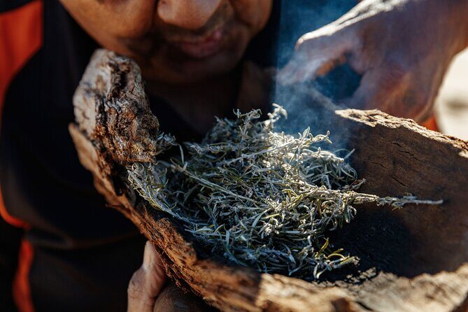 Kangaroo Island Indigenous Tour (1 Day) - Who Will Love This Tour?