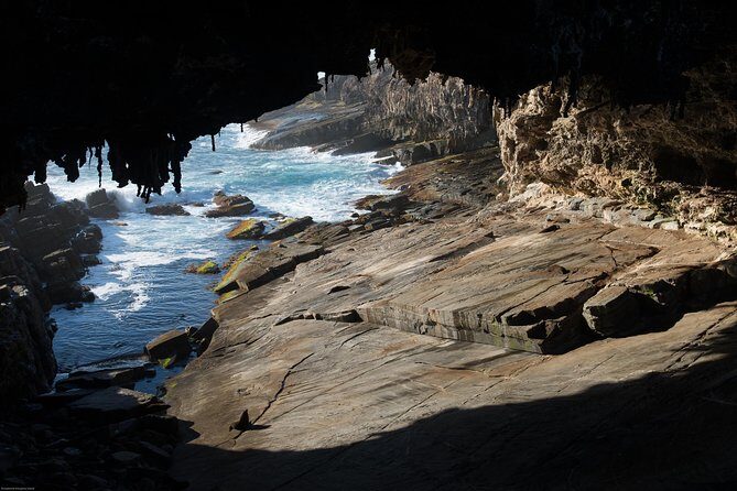 Kangaroo Island Luxury Small Group 'Flinders Chase Focus' Full Day Tour - The Value: Is It Worth the Cost?