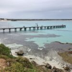 Kangaroo Island: Scenic, Nature & Wildlife Tour - The Value for Money