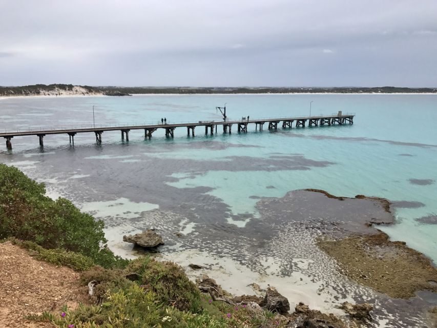 Kangaroo Island: Scenic, Nature & Wildlife Tour - The Value for Money