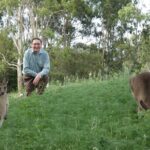 Kangaroo Wildlife Half Day Small Group Tour From Sydney - Analyzing the Cost and Value