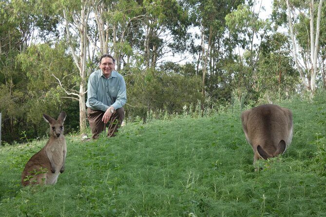 Kangaroo Wildlife Half Day Small Group Tour From Sydney - Analyzing the Cost and Value