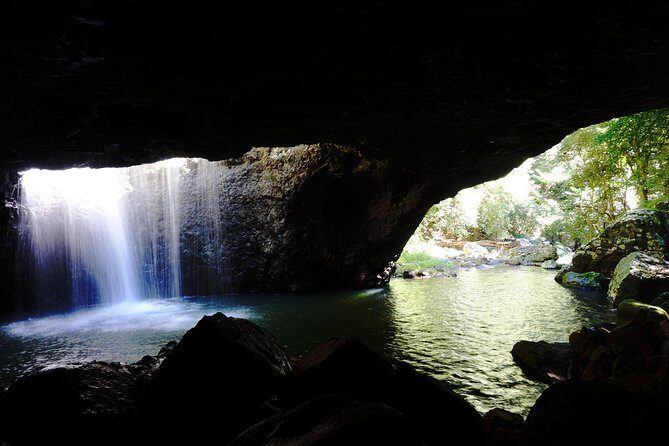 Kangaroos, Rainforest & Waterfalls Experience - Small Group - Final Thoughts: Who Will Love This Tour?