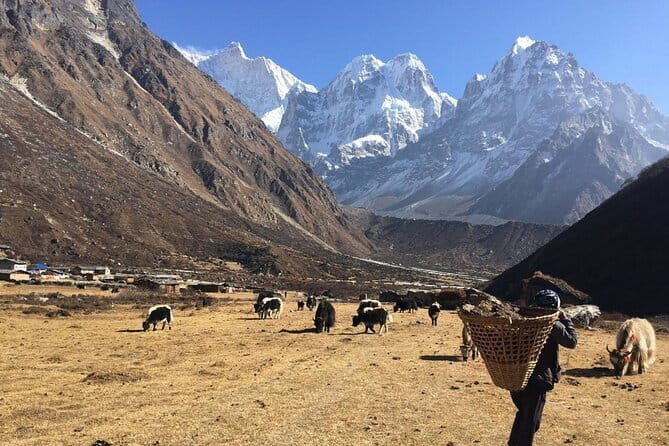 Kangchenjunga Circuit South and North Base Camp Trek - Why This Trek Offers Great Value