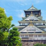 Kansai (KIX) Layover tour Sightseeing & tasting in Osaka by train - What’s Included and What to Expect