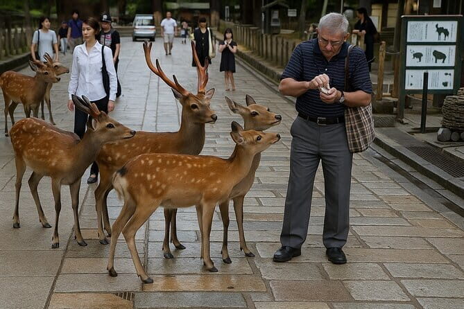 Kansai Region Hiking Adventure in Nara Kobe Kyoto and More - Who Will Love This Tour?