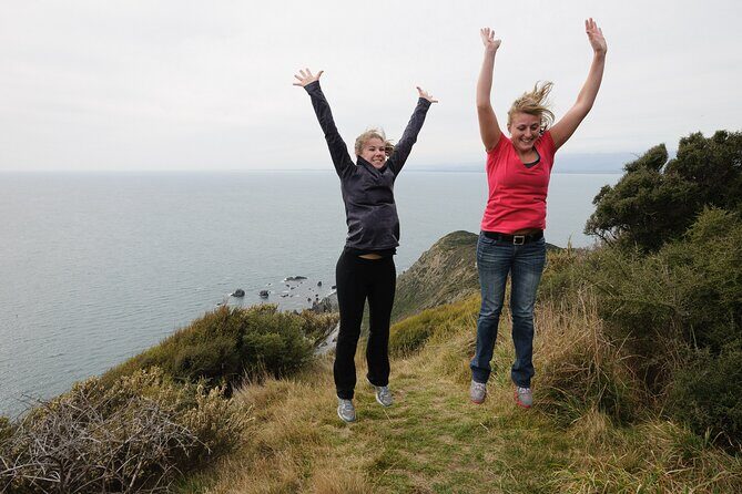 Kapiti Island Classic Guided Day Tour - Final Thoughts: Who Is This Tour Best For?