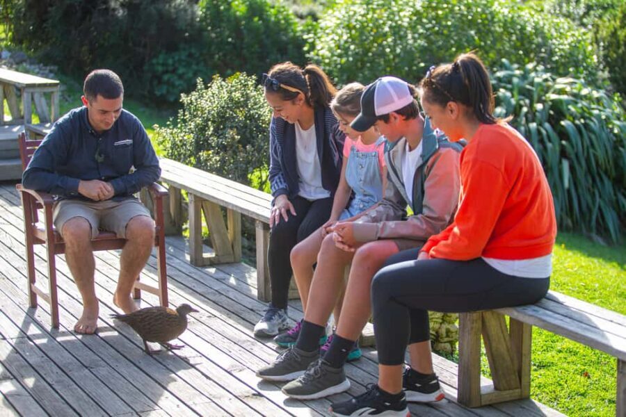 Kapiti Island: Classic Guided Day Tour - The Sum Up