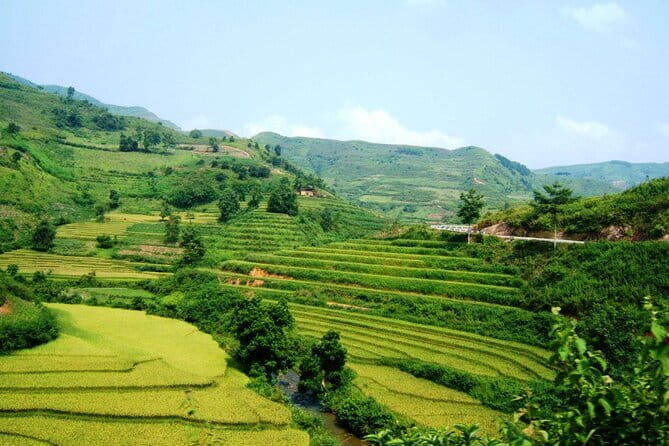 Karst Plateau Geopark Tour 3 Days 2 Nights From Hanoi - Day 2: Exploring Dong Van and Cultural Highlights