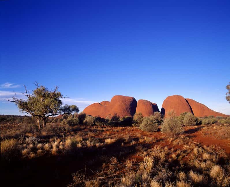 Kata Tjuta Private Guided Sunrise Tour - What Makes This Tour Special?