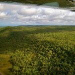 Katherine Gorge Flight from Darwin, with Cruise and Heli Scenic - What Makes This Tour Stand Out?