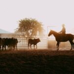 Katherine Outback Experience Show Ticket - The Value of Your Ticket