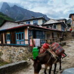 Kathmandu: 15-Day Everest Base Camp Trek with Guide - What You Get for Your Money