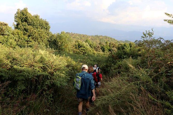 Kathmandu Best Scenic Day Hiking to Champa Devi Hill - The Experience and Its Benefits