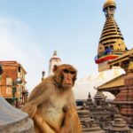 Kathmandu: Chandragiri cable car & Swayambhunath Tour - What We Love About This Tour