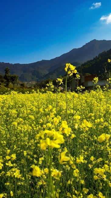 Kathmandu: Chitlang Day Tour, Wine Tasting and Short Hike - Authenticity & Reviews