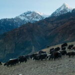 Kathmandu: Khopra Ridge Trek with Panoramic Views - Practical Details and Considerations