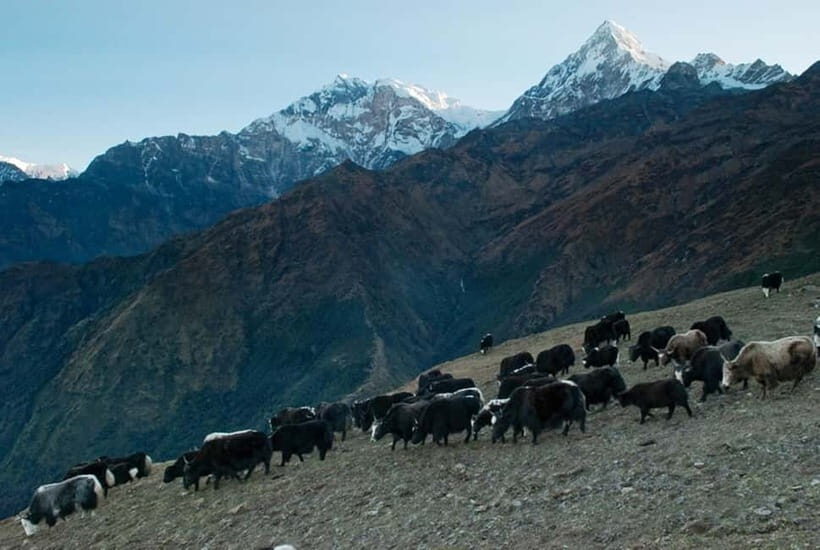 Kathmandu: Khopra Ridge Trek with Panoramic Views - Practical Details and Considerations