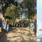 Kathmandu: Monkey Temple Guided Monkey Watching Tour - The Monkeys and the Cultural Significance