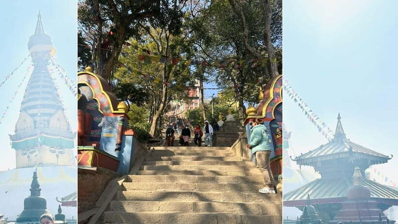 Kathmandu: Monkey Temple Guided Monkey Watching Tour - The Monkeys and the Cultural Significance