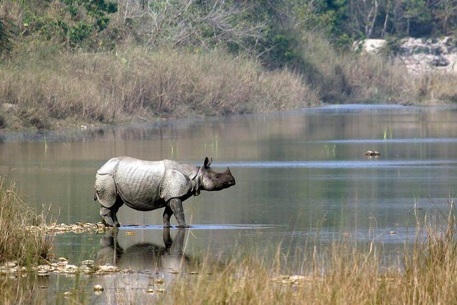 Kathmandu Pokhara & Chitwan Tour with Rafting -8 Days - Who Will Love This Tour?