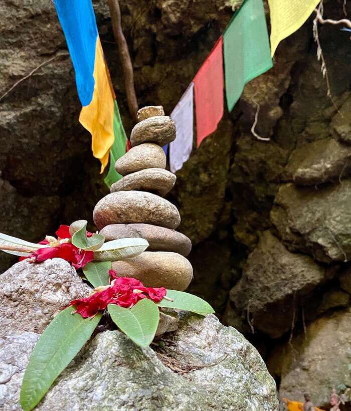 Kathmandu: Shivapuri Hill Day Hike with Lunch box - Final Thoughts: Is This Tour for You?
