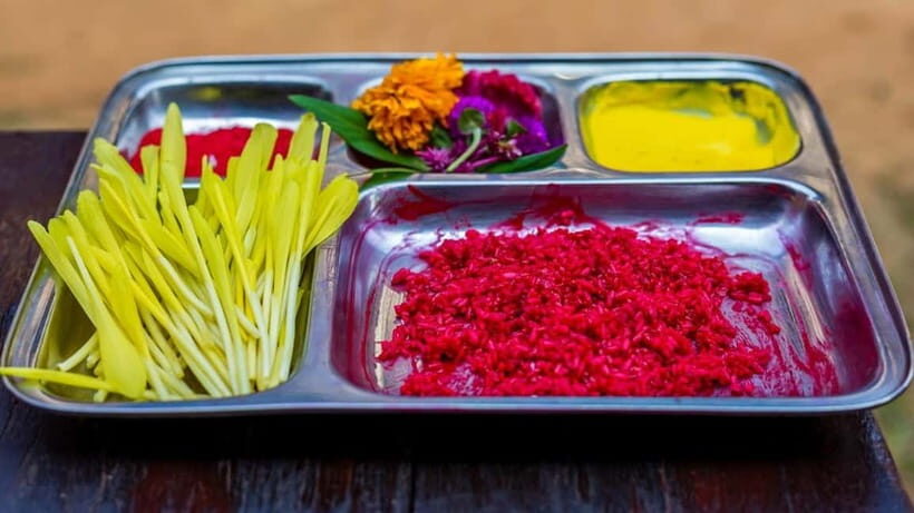 Kathmandu: Vijaya Dashami Festival Tour with Feast - Who Is This Tour Best For?
