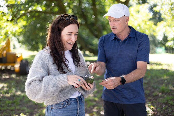 Katikati Gourmet Avocado Tasting - Analyzing the Value