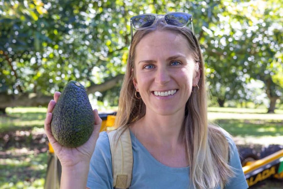 Katikati: Guided Gourmet Avocado Tour - Who Will Love This Tour?