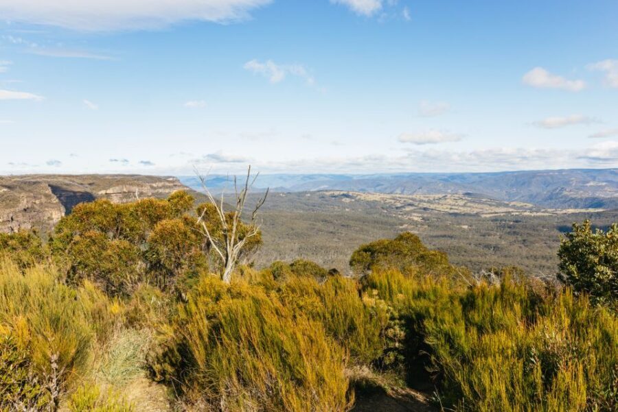 Katoomba: Lyrebird Hop-On Hop-Off and Scenic World Pass - The Itinerary and What You Can Expect