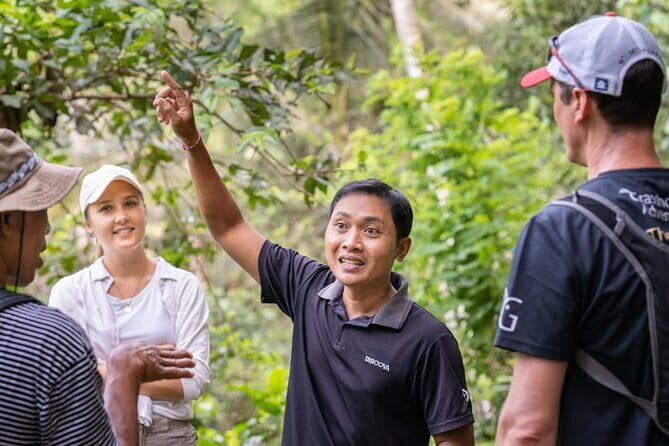 Kaura Waterfall Hike & Choose Optional Tour with Private Transfer - Summary of the Itinerary
