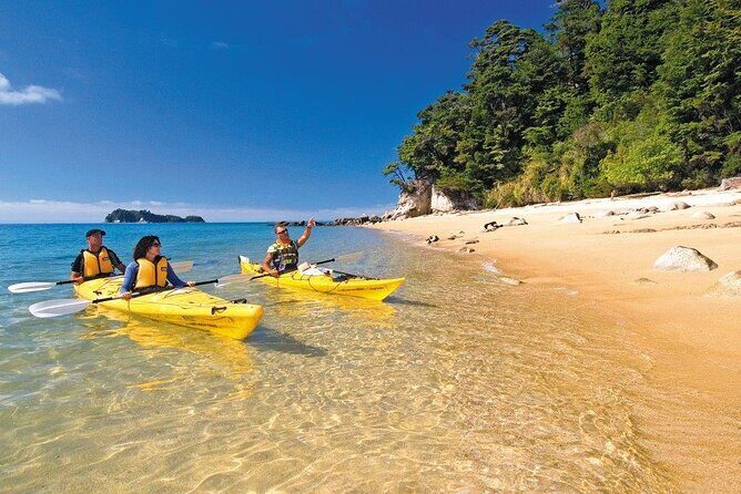 Kayak & Pitt Head Nature Loop - Guided Kayak & Unguided Walk - New Zealand - What Makes This Tour Stand Out?