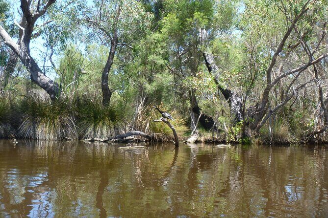 Kayak Tour on the Canning River - Exploring the Canning River Kayak Tour in Detail