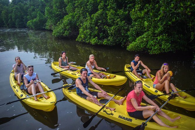 Kayaking from Bentota - Who Will Love This Tour?