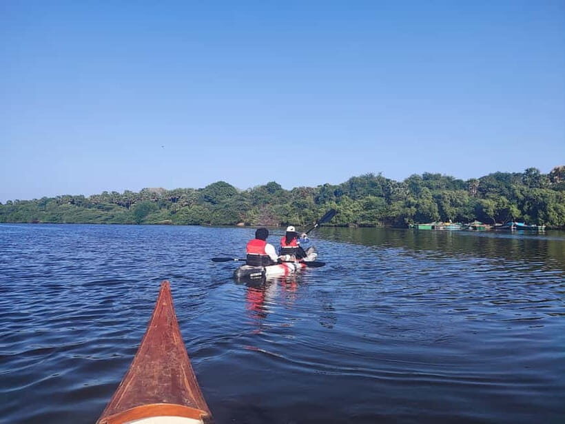 Kayaking in Backwaters of Pondicherry - Exploring the Itinerary and Experience