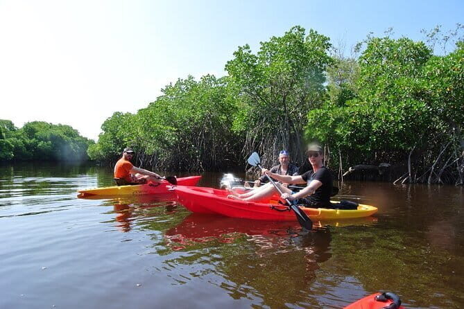 Kayaking Through the Kalpitiya Mangroves - Practical Details: What You Need to Know