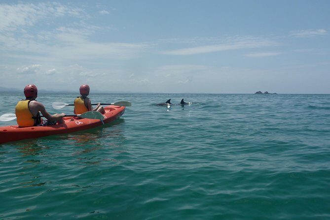 Kayaking with Dolphins in Byron Bay Guided Tour - Authentic Experiences and Review Highlights