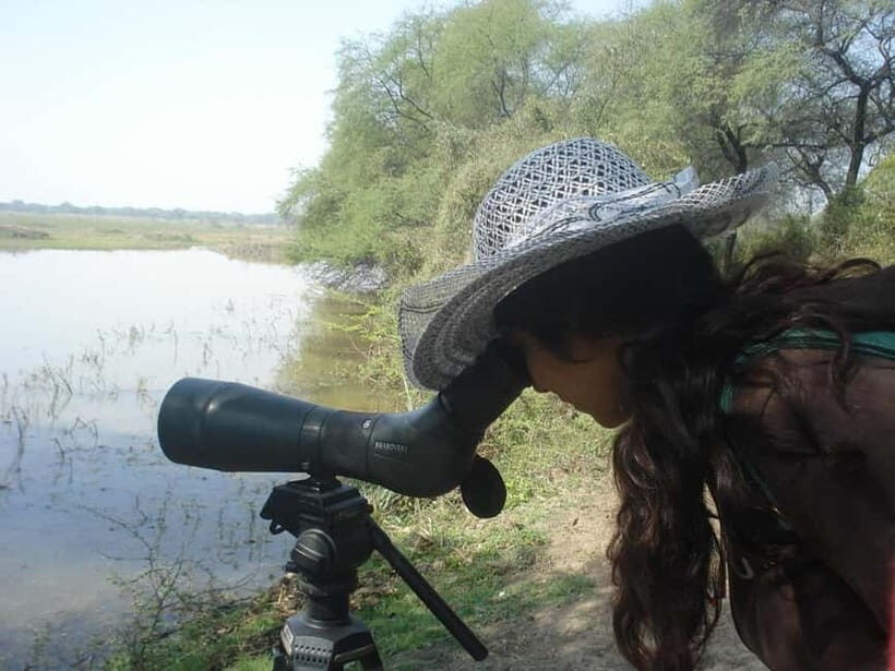 Keoladeo National Park Tickets and Guided Tour - The Itinerary Breakdown