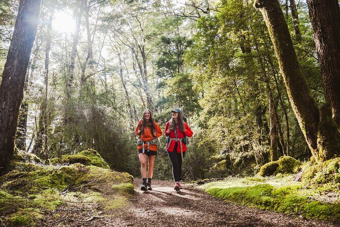 Kepler Track Water Taxi - Final Thoughts: Is It Worth It?
