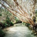 K'gari (Fraser Island) 4-Day Experience Tour From Hervey - Who Is This Tour Best For?