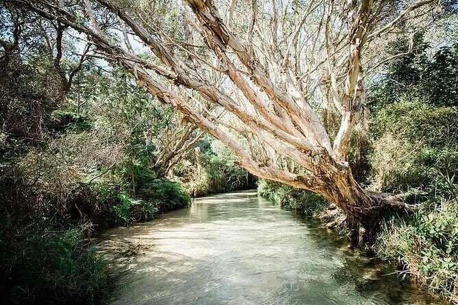 K'gari (Fraser Island) 4-Day Experience Tour From Hervey - Who Is This Tour Best For?