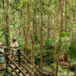 K'gari (Fraser Island) Explorer 2-Day Tour - Night at K’gari Beach Resort