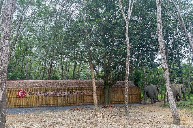 Khao Lak Ethical Elephant Sanctuary Small Group Tour - The Itinerary Breakdown