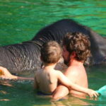 Khao Lak: Rafting, Elephant Bathing & Sea Turtle Center Tour - Authentic Encounters and Honest Impressions