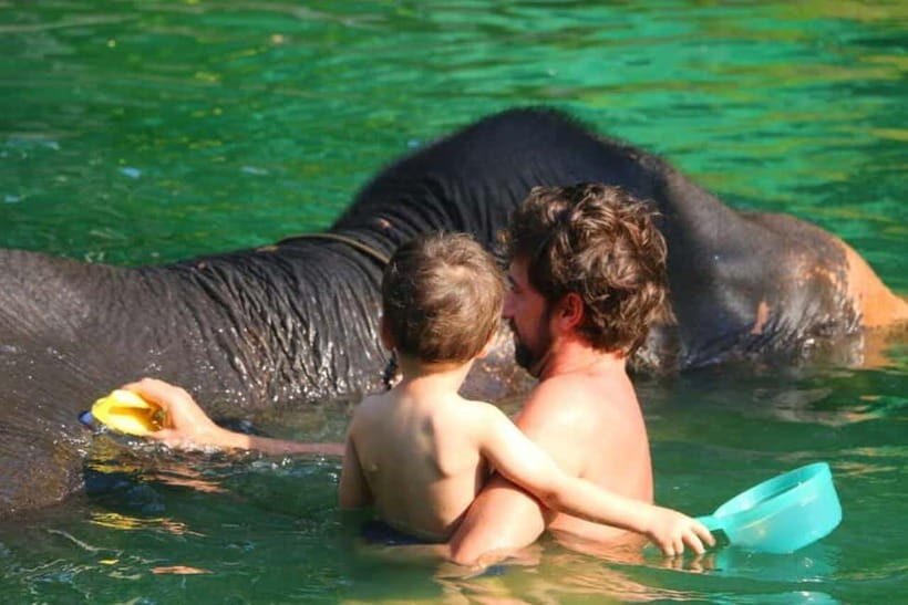 Khao Lak: Rafting, Elephant Bathing & Sea Turtle Center Tour - Authentic Encounters and Honest Impressions