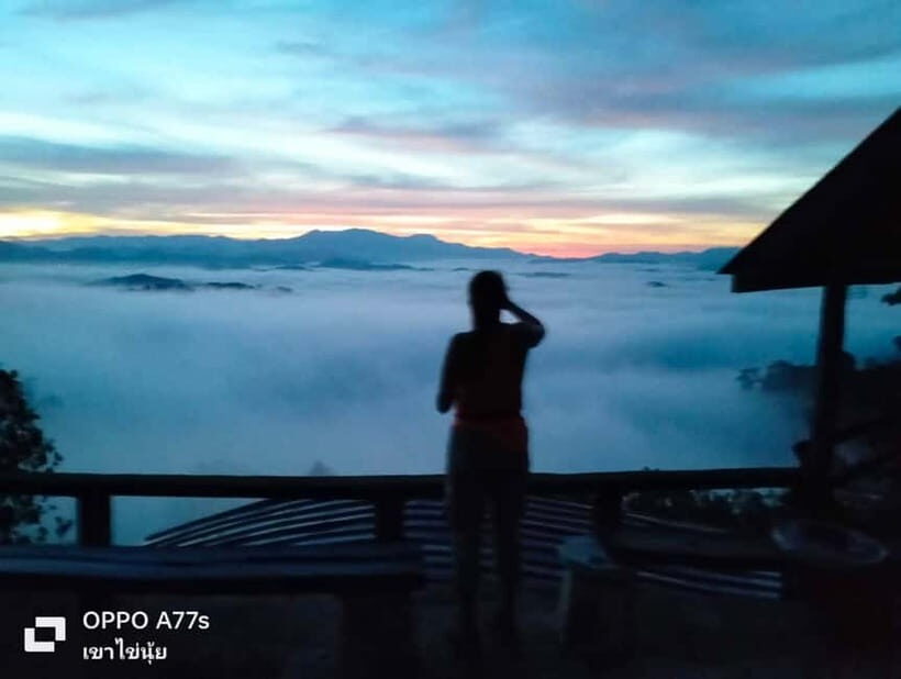 Khao Lak: Sea of Fog on Hill & Sunrise at Khao Khai Nui - Authentic Experiences and Mixed Reviews