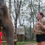 Khao Laks Best: Elephant Sanctuary,Rubber Tapping&Waterfall - Practical Details and What to Expect