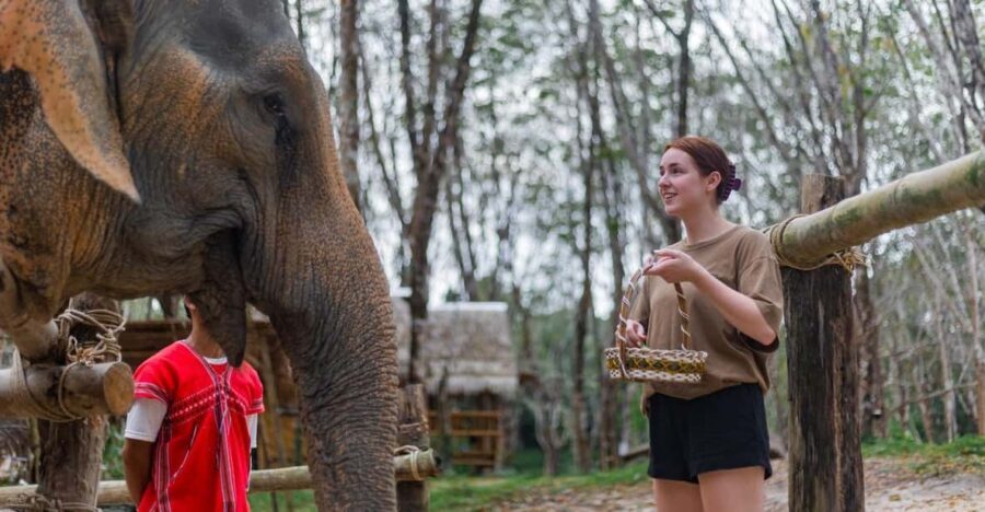 Khao Laks Best: Elephant Sanctuary,Rubber Tapping&Waterfall - Practical Details and What to Expect
