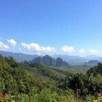 Khao Sok Jungle Day Trip - Jungle Trekking & Bamboo Rafting - Jungle Trekking – An Up-Close Encounter